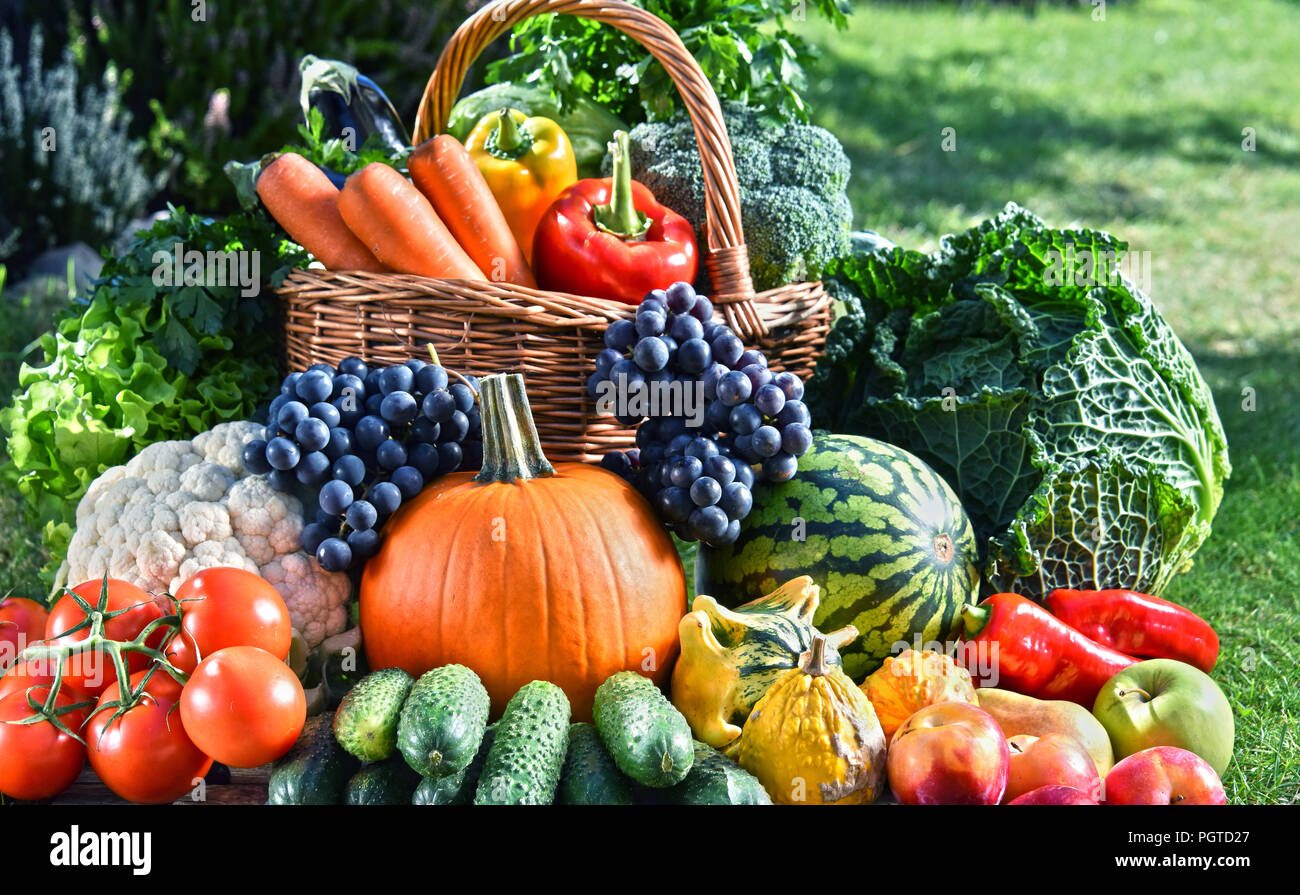 Variety of fresh organic vegetables and fruits in the garden. Balanced ...