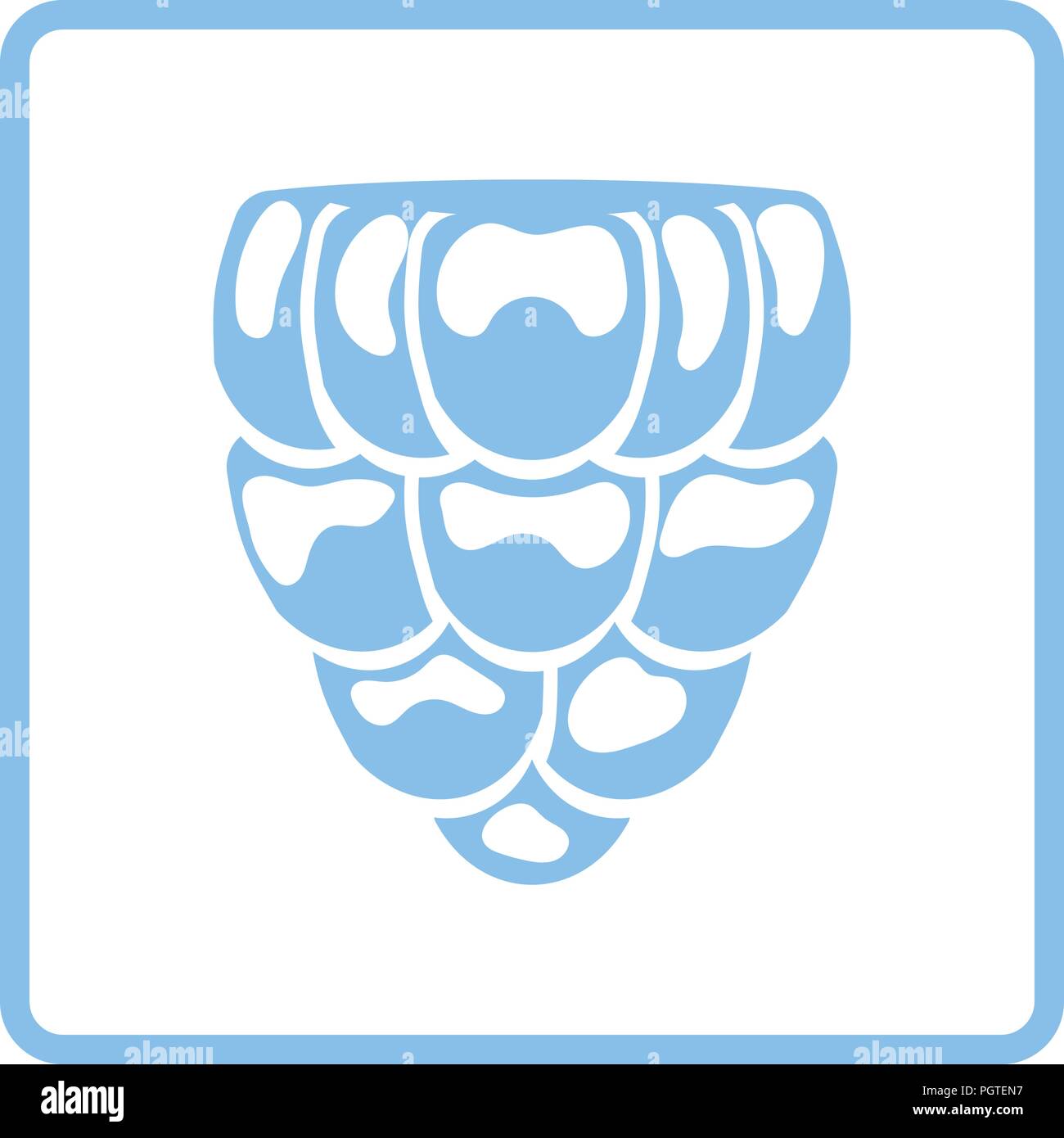 Icon of Raspberry. Blue frame design. Vector illustration Stock Vector ...