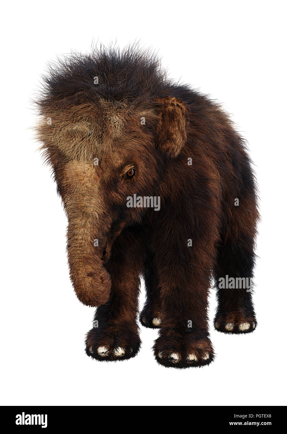 3D rendering of a woolly mammoth baby isolated on white background ...