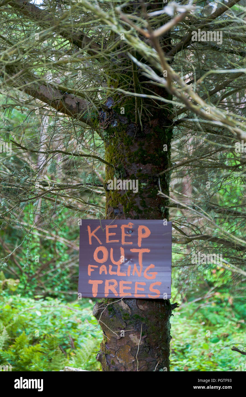 Keep Out Falling Trees sign signage in a forest wooded area rural ...