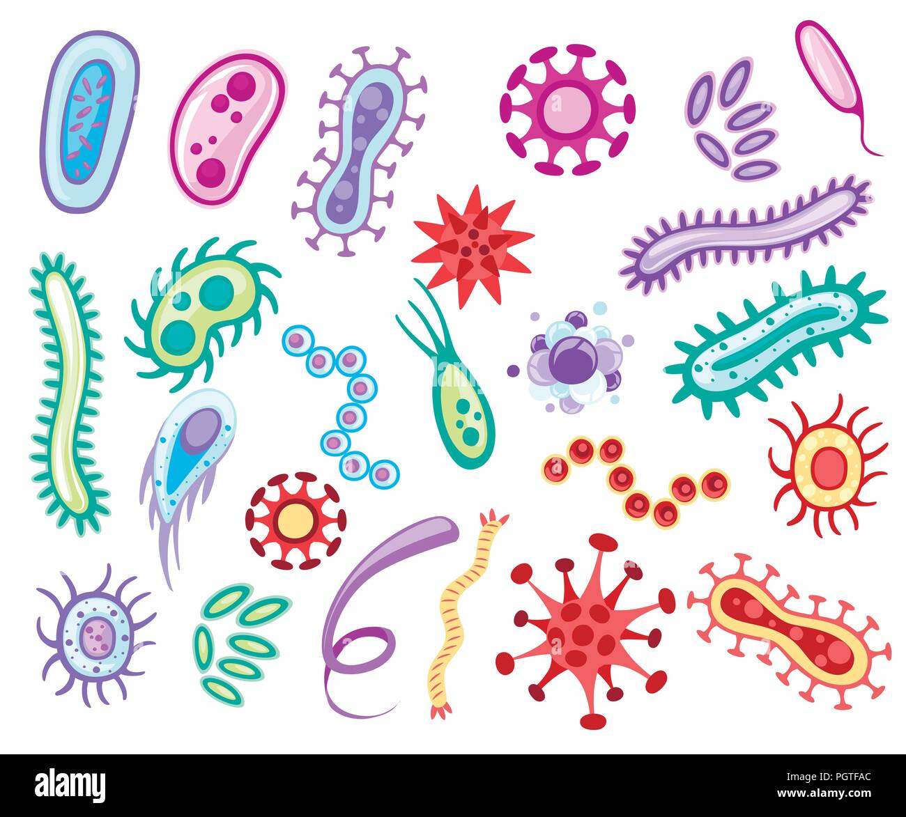 Microorganisms Bacteria And Fungi