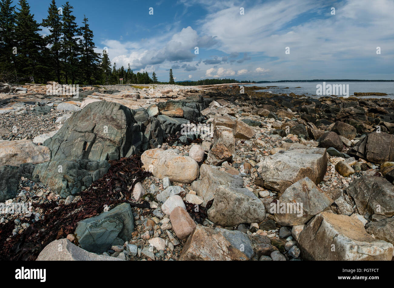 Natural Seawall: Boulders, small rocks and gravel collect against ...
