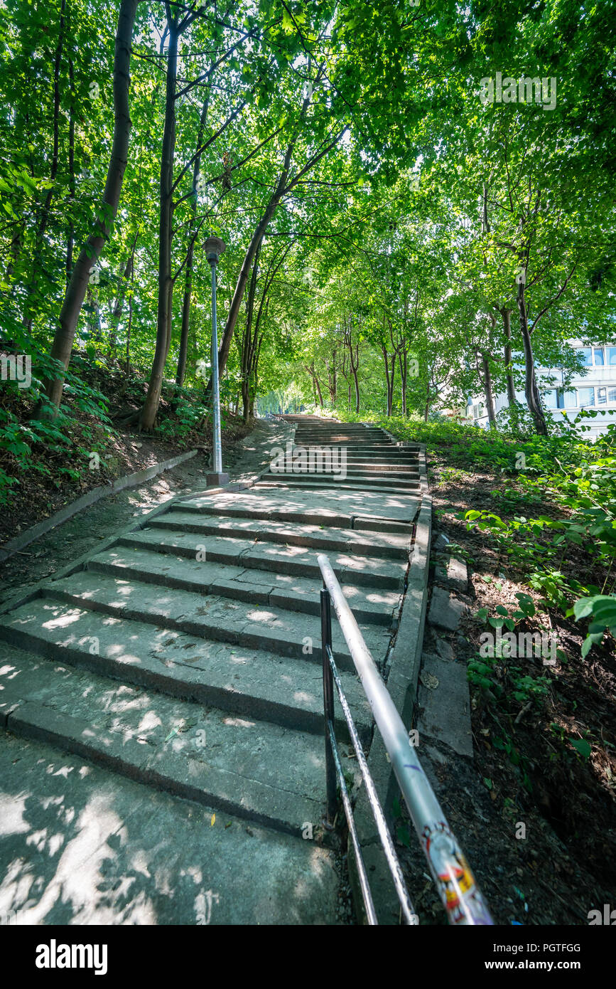 path in the forest. concrete stairs Stock Photo - Alamy
