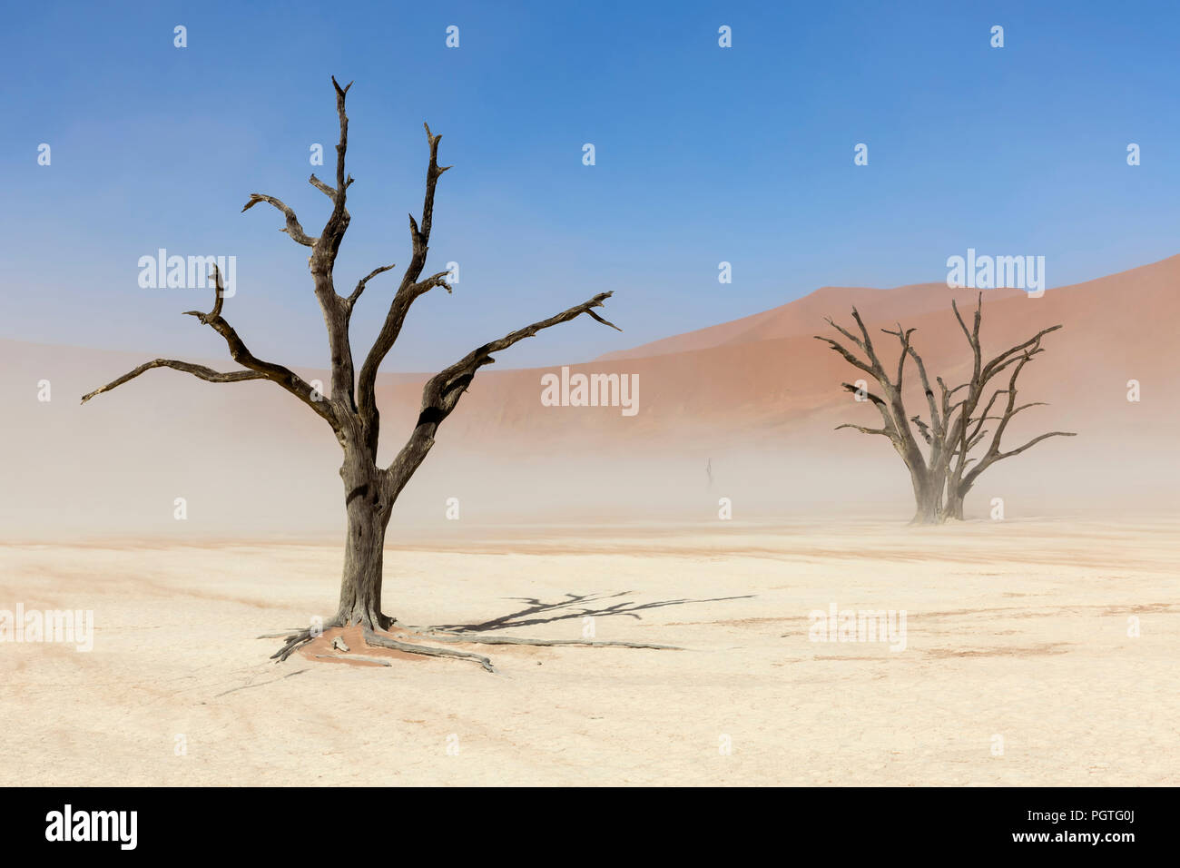Dust Storm at Deadvlei Namibia Stock Photo - Alamy