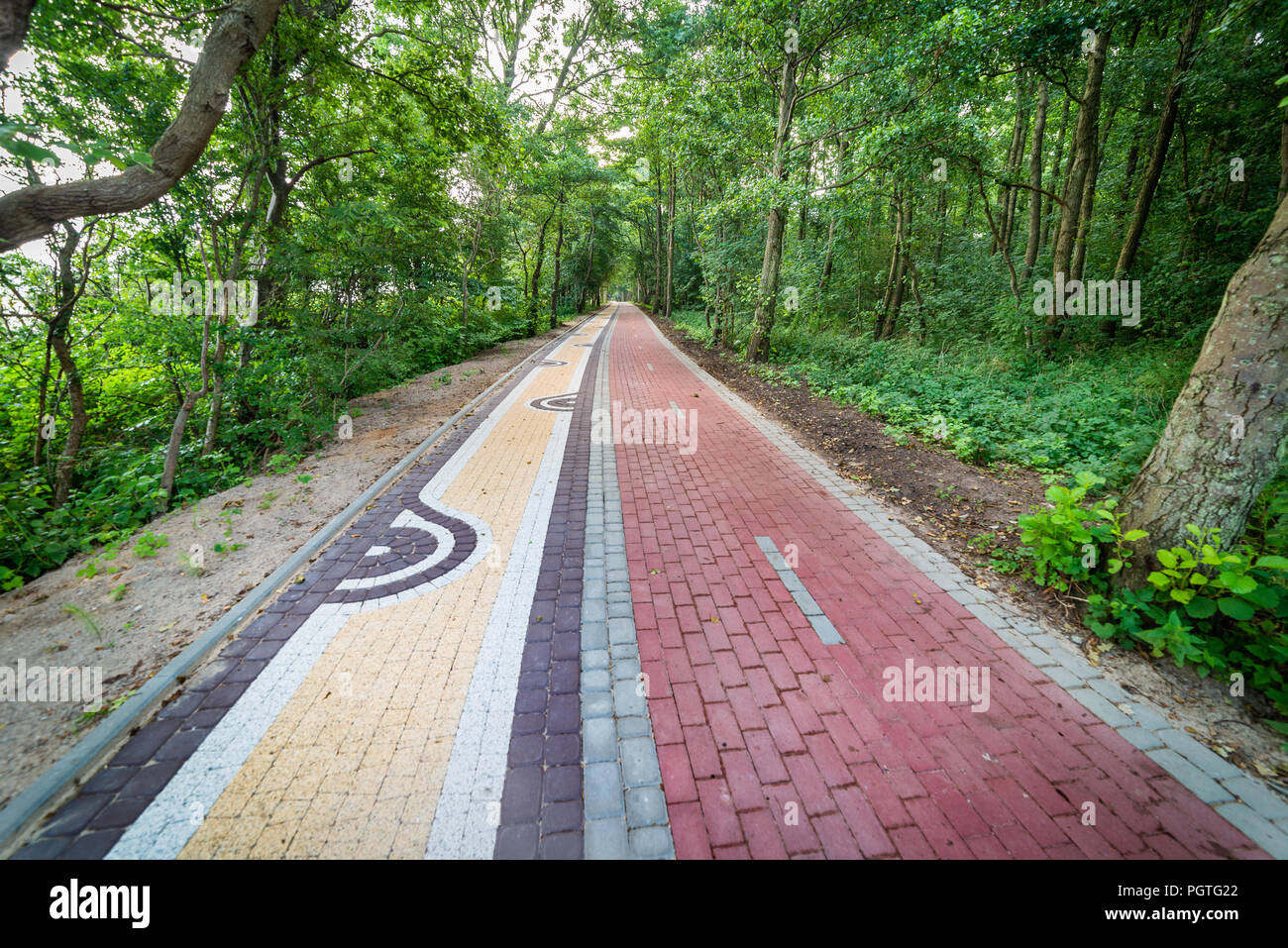 bike path through the forest Stock Photo - Alamy