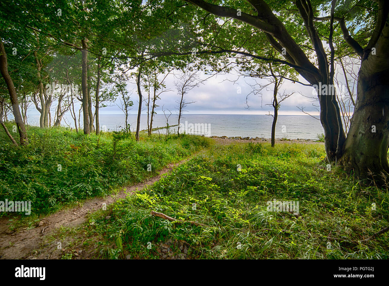 landscape - path from the forest to the beach Stock Photo - Alamy