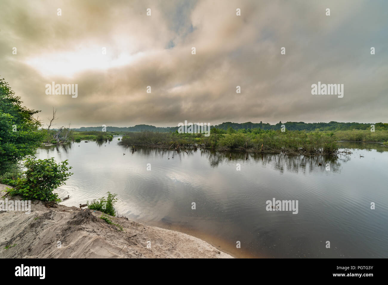 landscape, mangroves, swamp, cloudy sky Stock Photo - Alamy