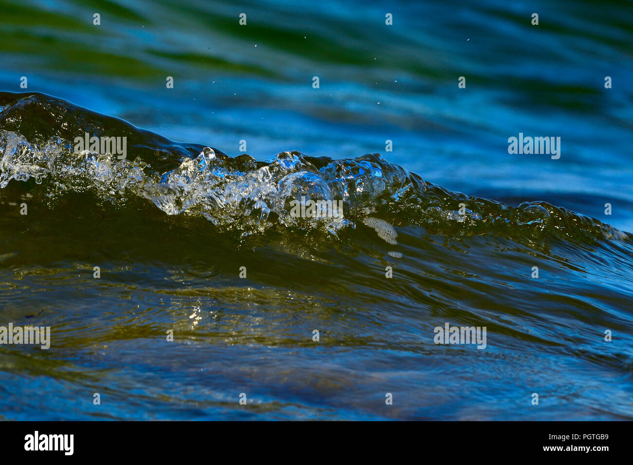 A close up image of an ocean wave breaking onshore with the incoming ...