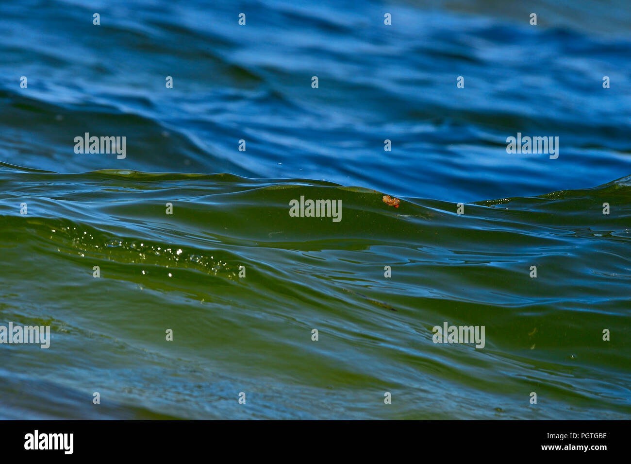 Incoming tide hi-res stock photography and images - Alamy