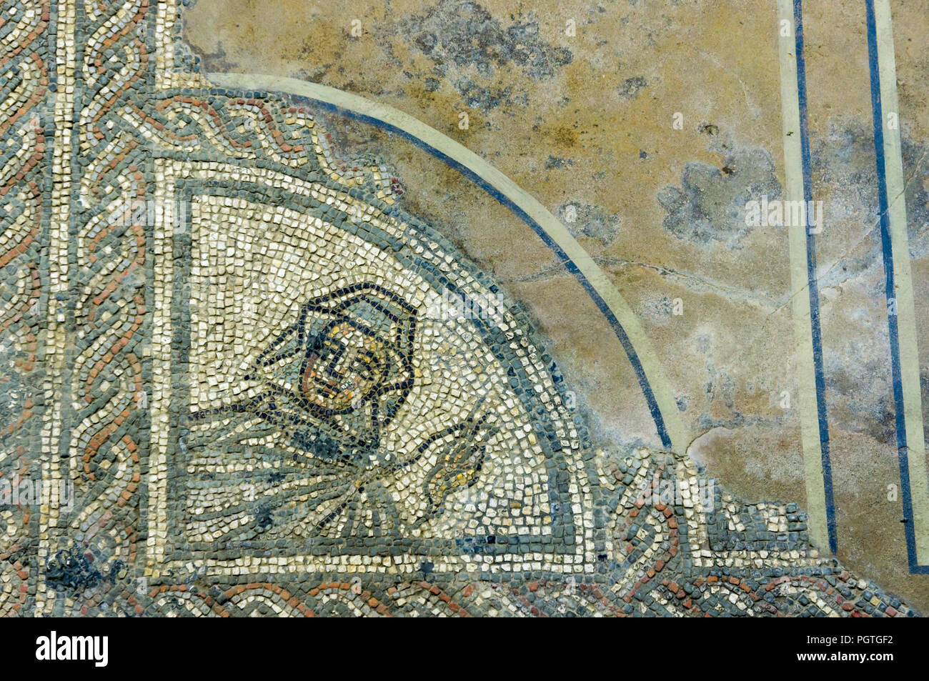 The Winter Mosaic in Room 12 at Brading Roman Villa on the Isle of ...
