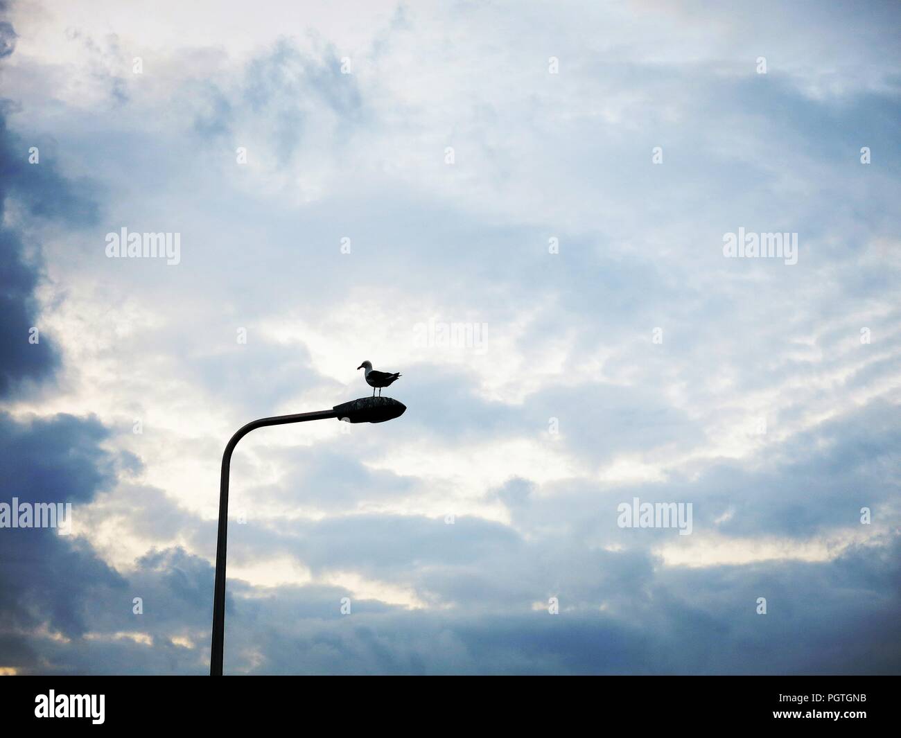 Lamp post silhouette hi-res stock photography and images - Alamy