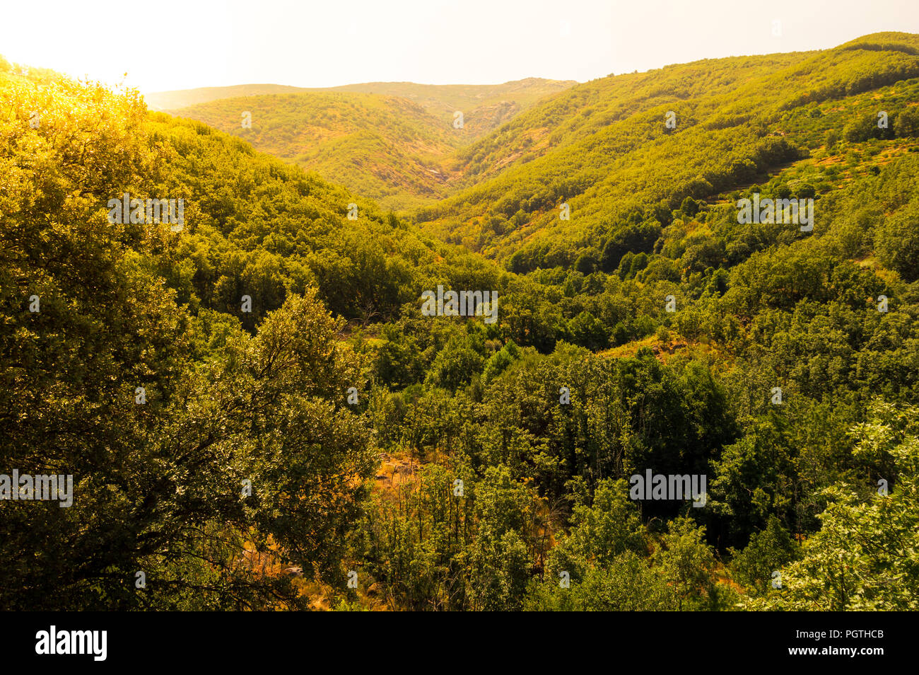 Jerte valley hi-res stock photography and images - Alamy