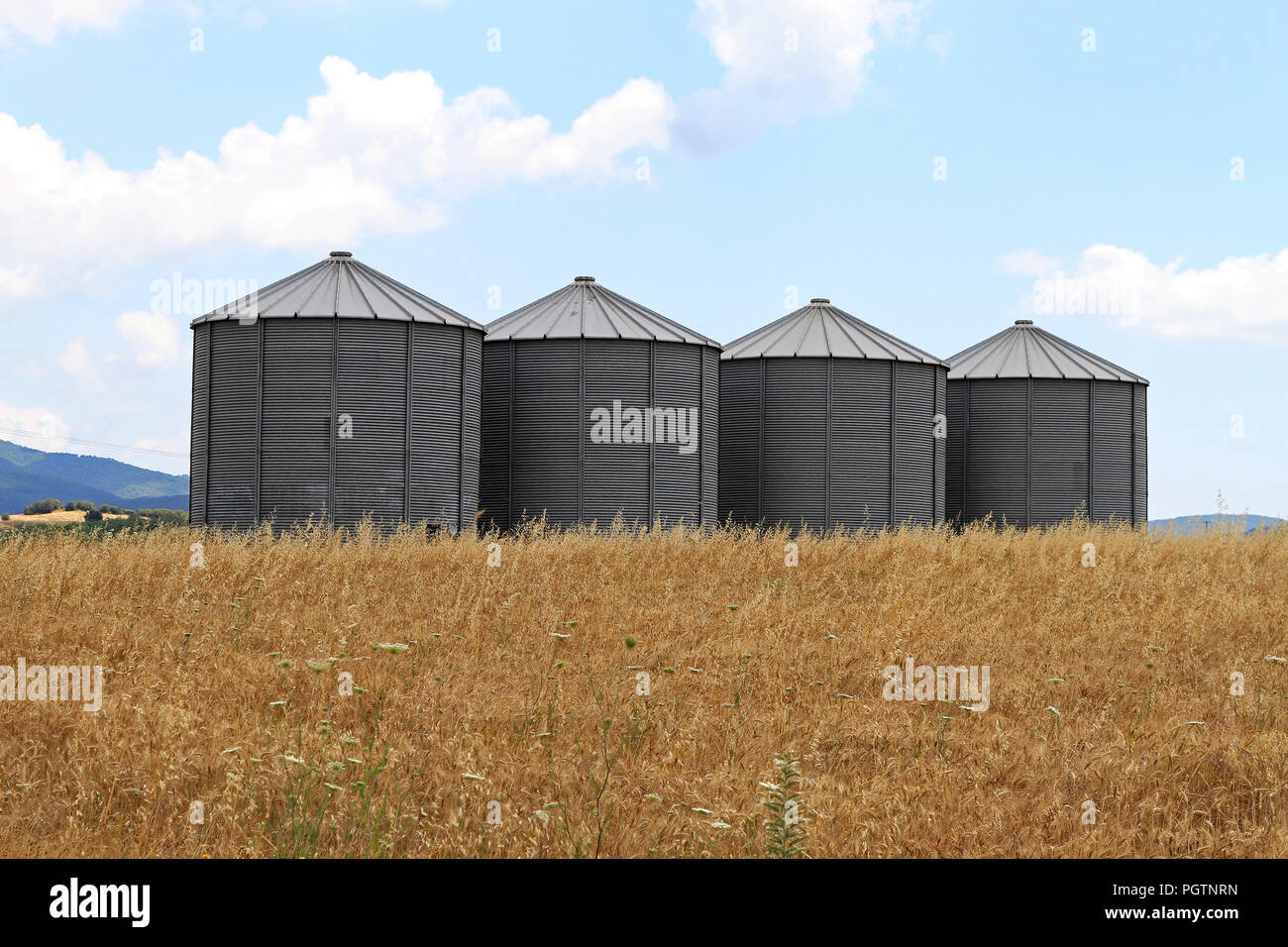 Four steel grain silo towers in rural Greece Stock Photo - Alamy