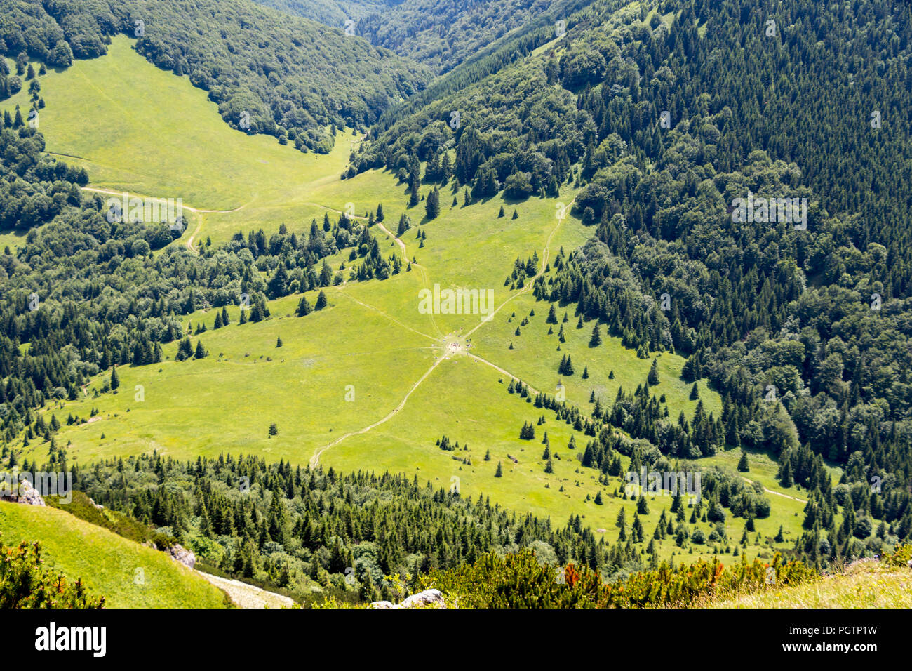Image of the meadows in The Vratna valley at the national park Mala ...
