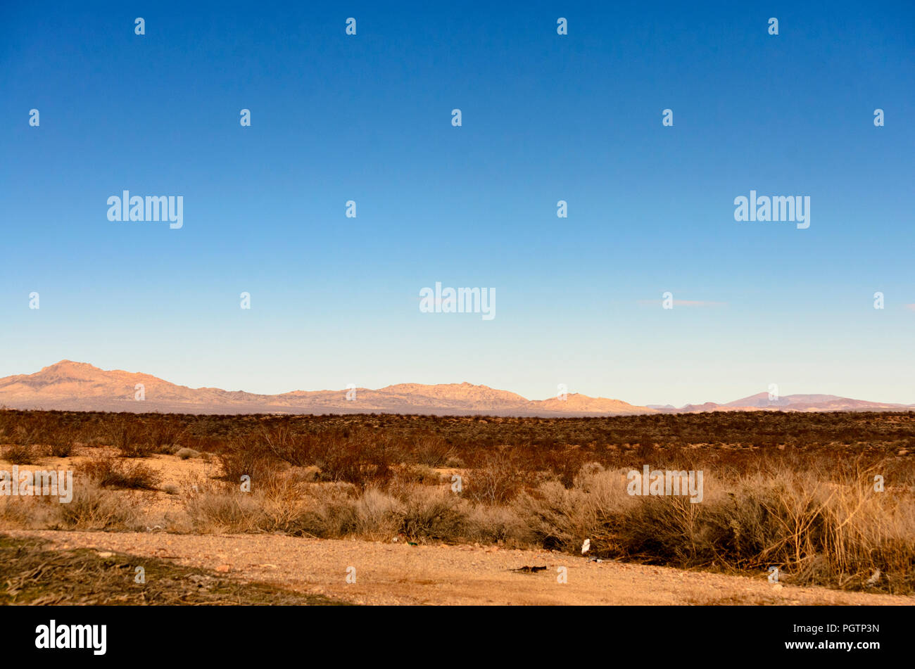 Dead brush hi-res stock photography and images - Alamy