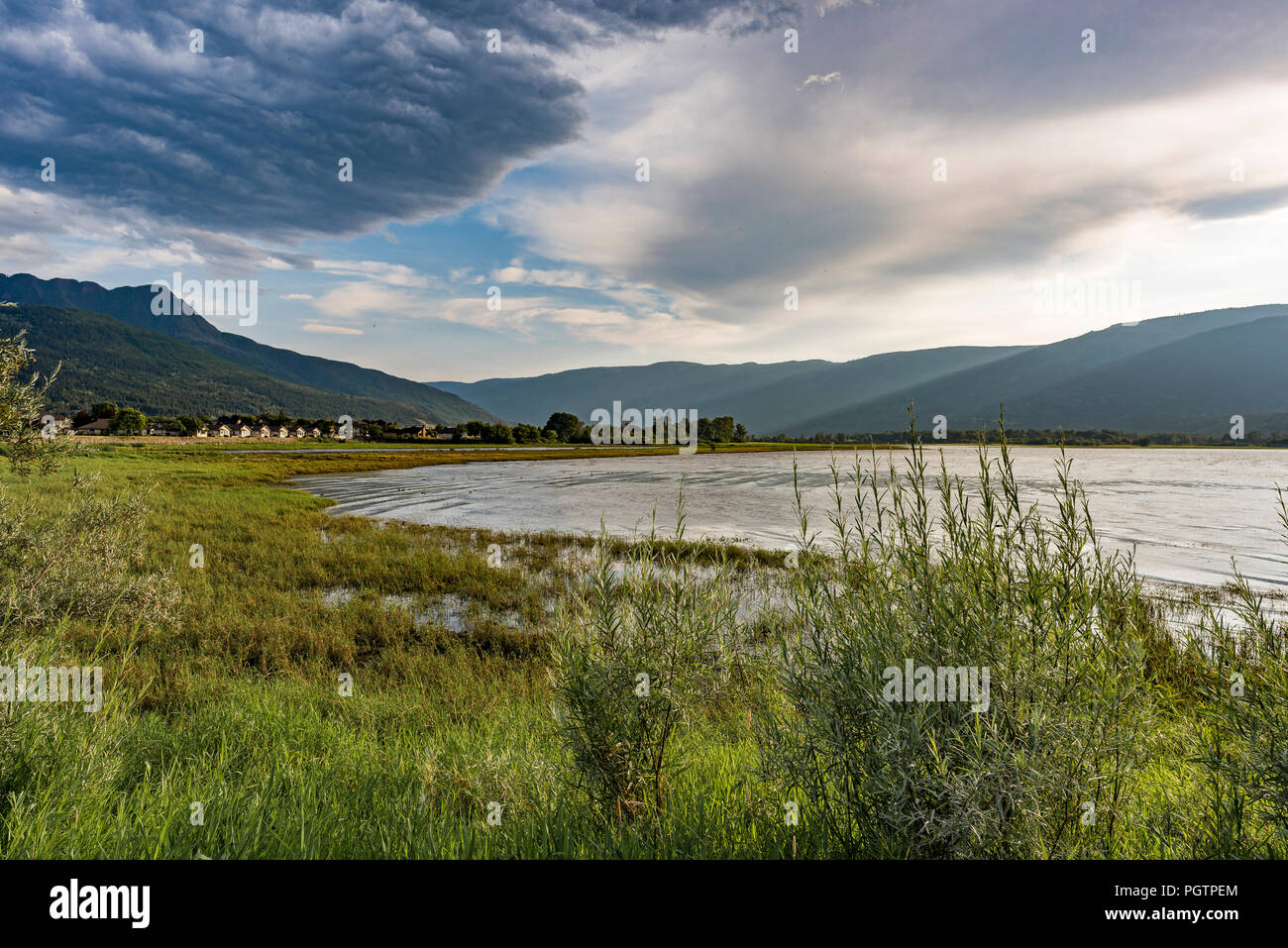 Salmon Arm High Resolution Stock Photography and Images - Alamy
