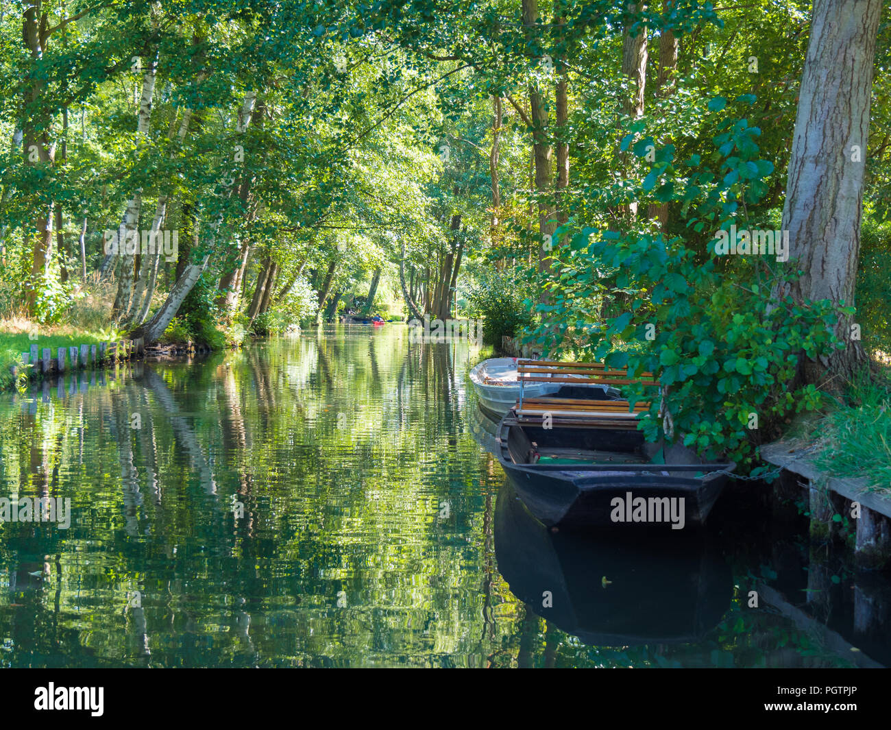 View of the Spreewald canals, Germany, Europe Stock Photo - Alamy