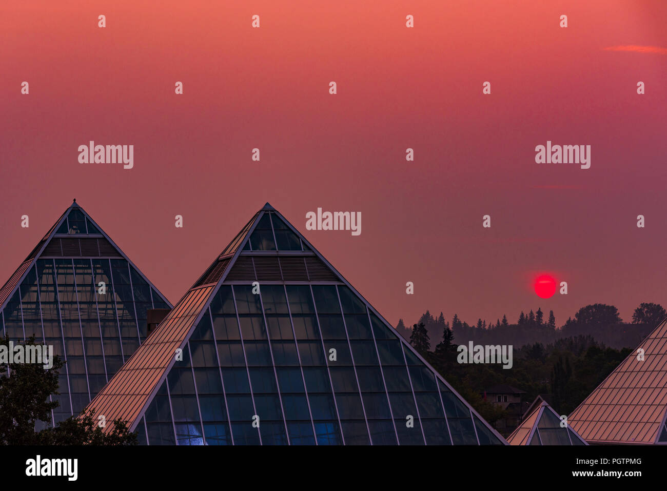 Muttart conservatory pyramids hi-res stock photography and images - Alamy