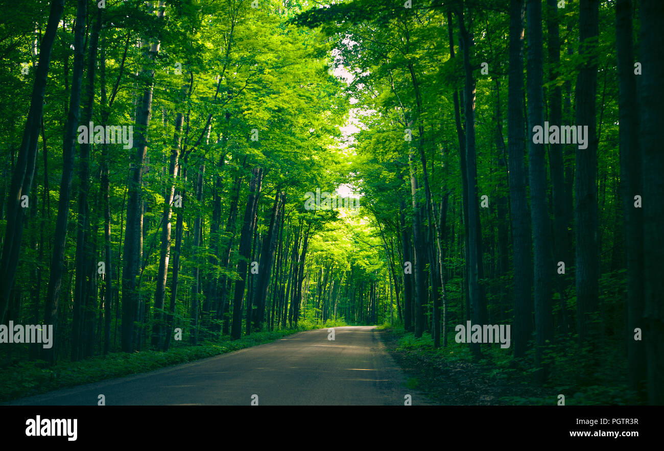 Awenda Provincial Park Stock Photo - Alamy