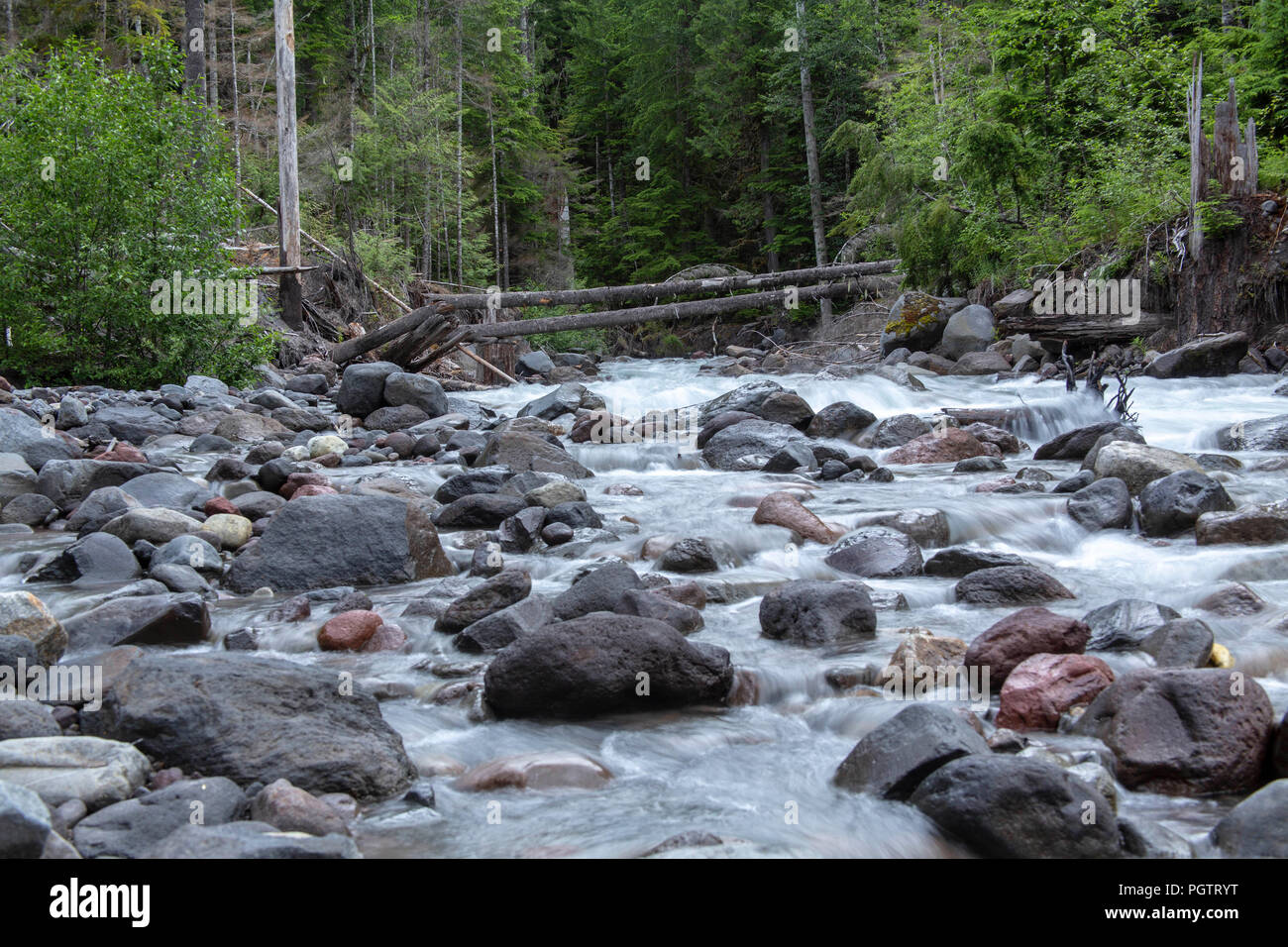 Rushing water in a stream in the Oregon forest Stock Photo - Alamy