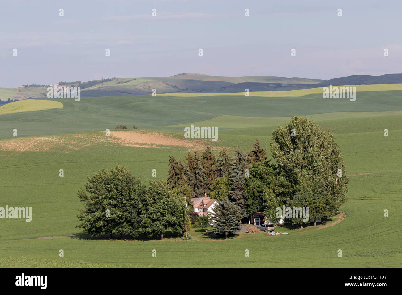 Farm land with beans and crops in the palouse region of Washington ...