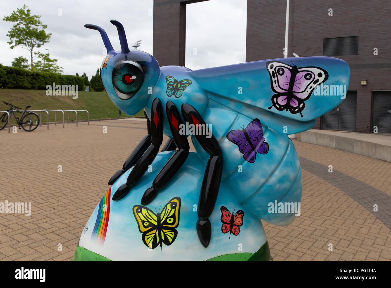 Bee in squash hi-res stock photography and images - Alamy