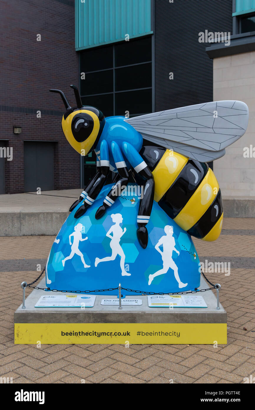 Bee manchester arena hi-res stock photography and images - Alamy