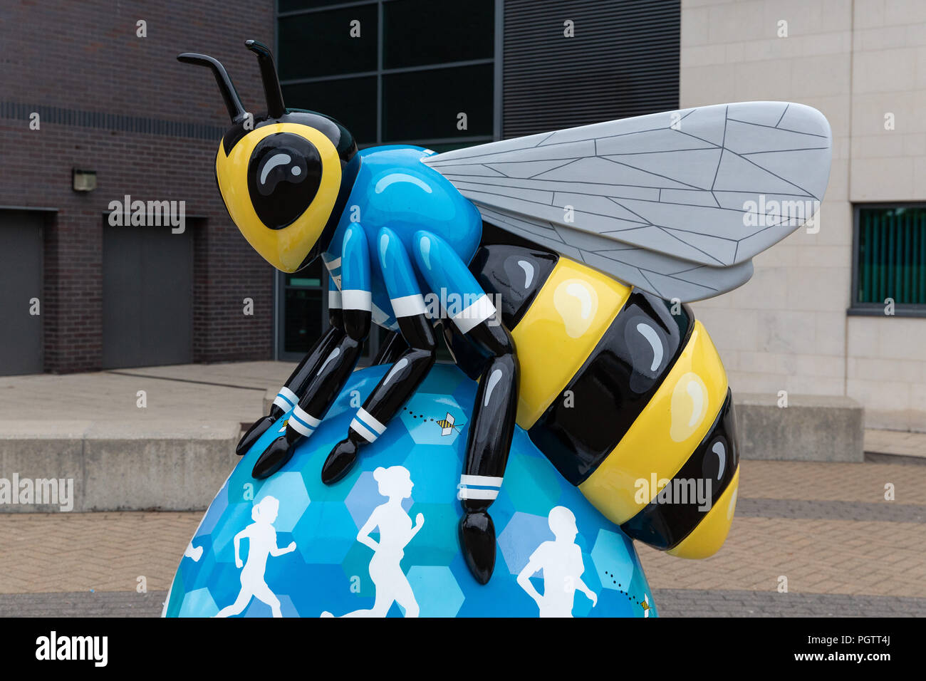 Manchester Regional Arena (82 of 101 Stock Photo - Alamy