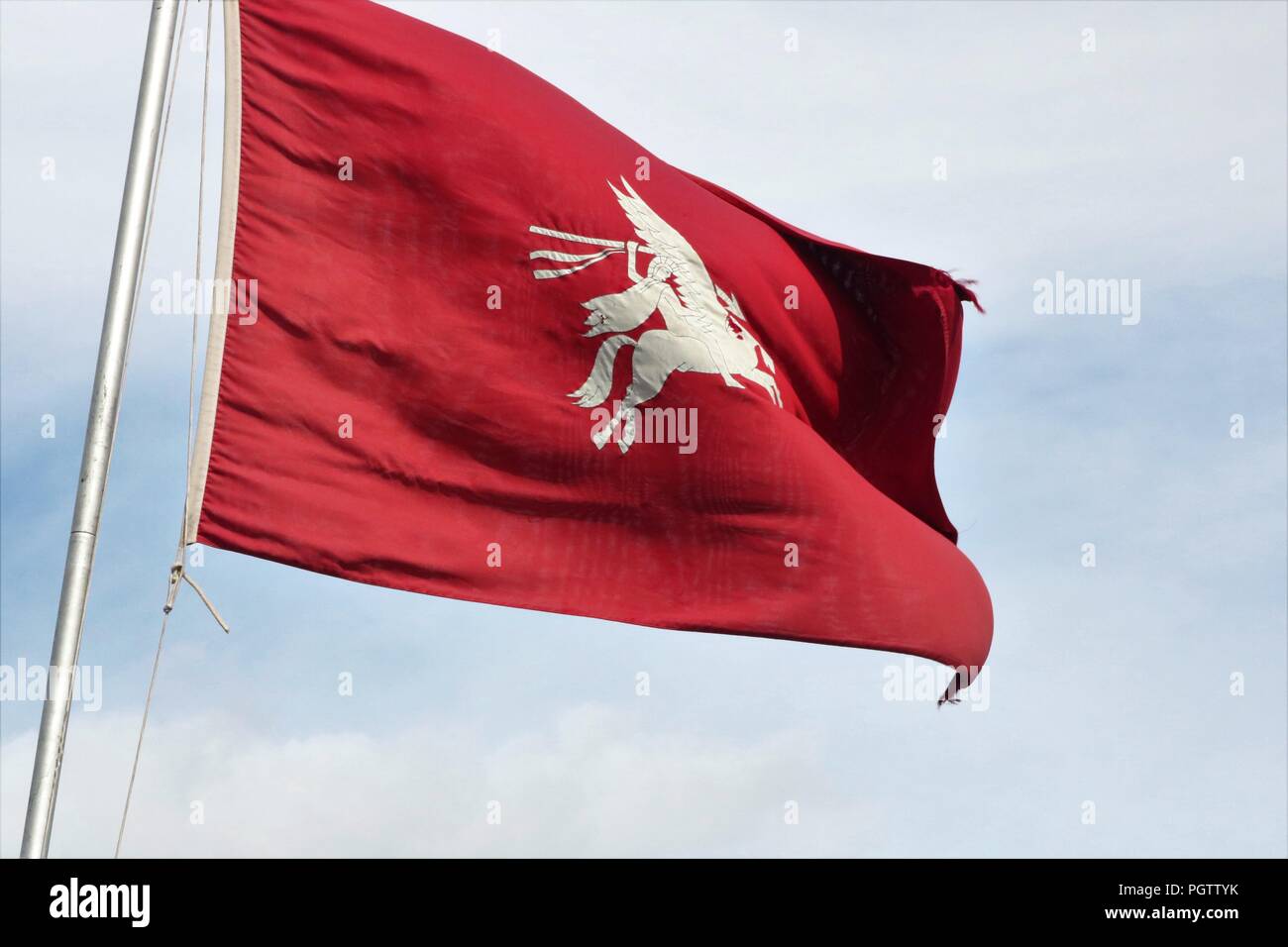 Silverstone flag hi-res stock photography and images - Alamy