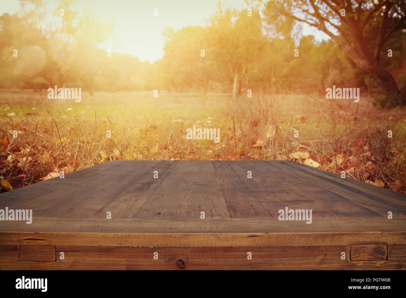image of front rustic wood boards and background of fall leaves in ...