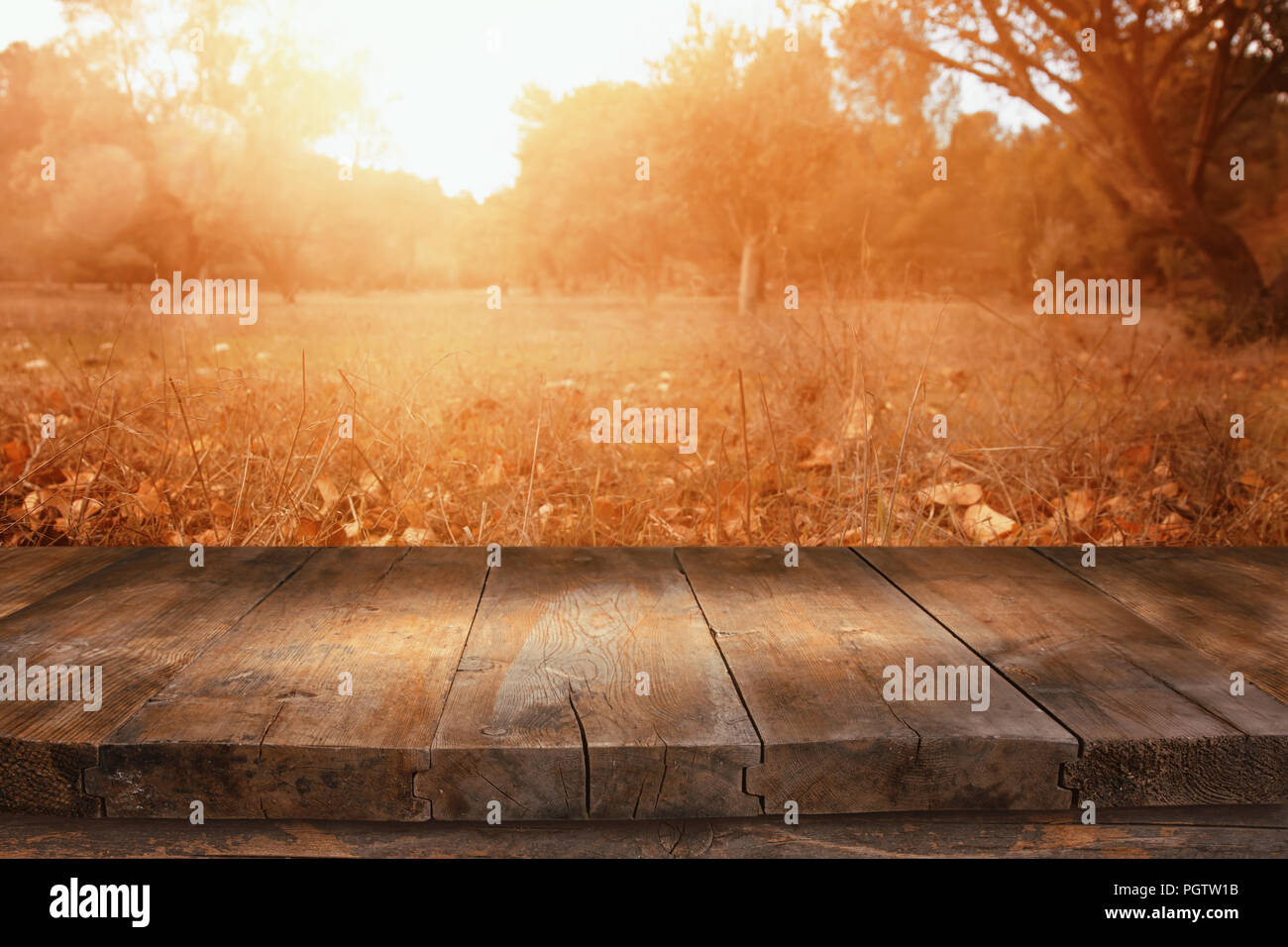 image of front rustic wood boards and background of fall leaves in ...