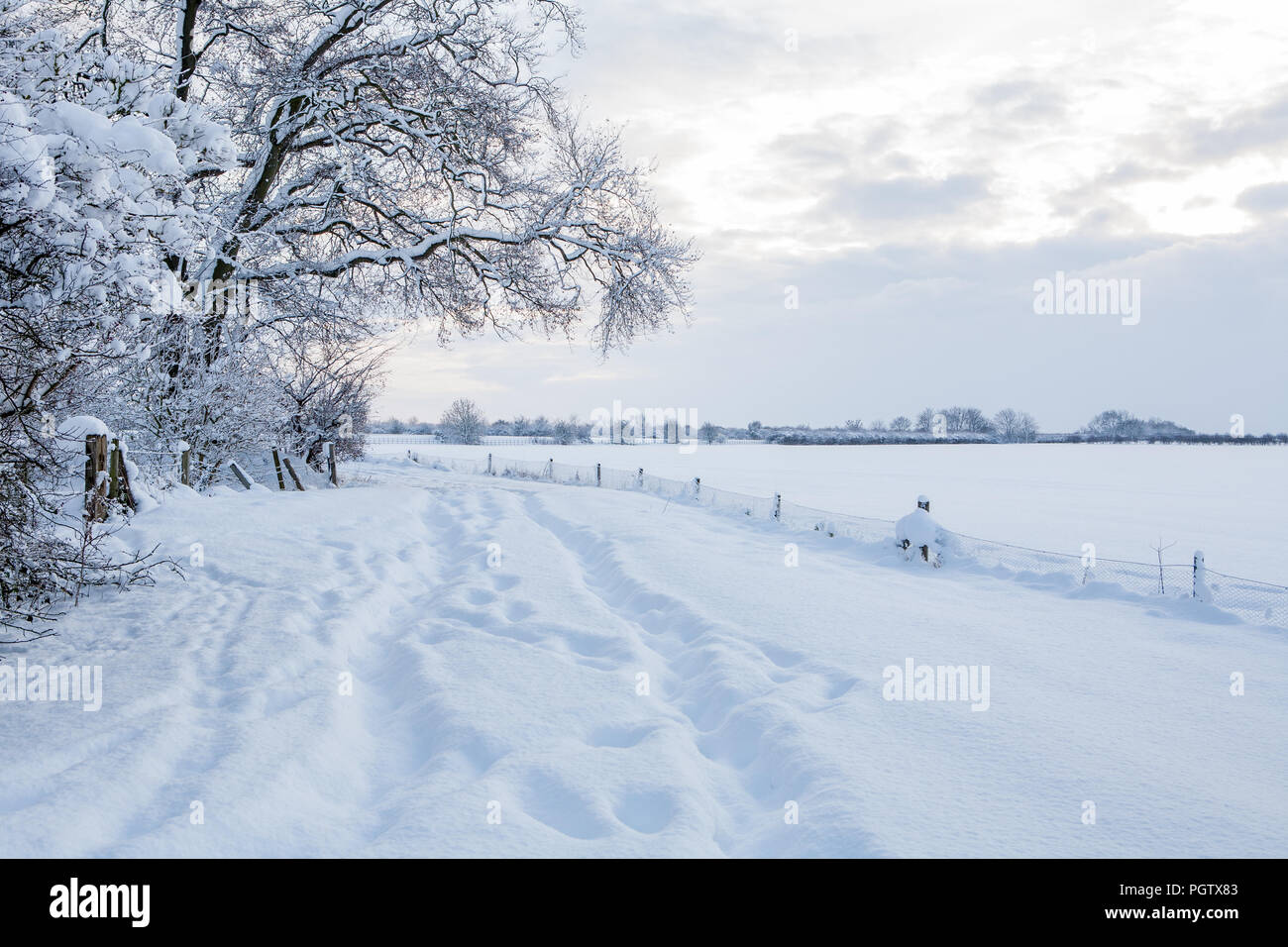 Lincolnshire fields hi-res stock photography and images - Alamy