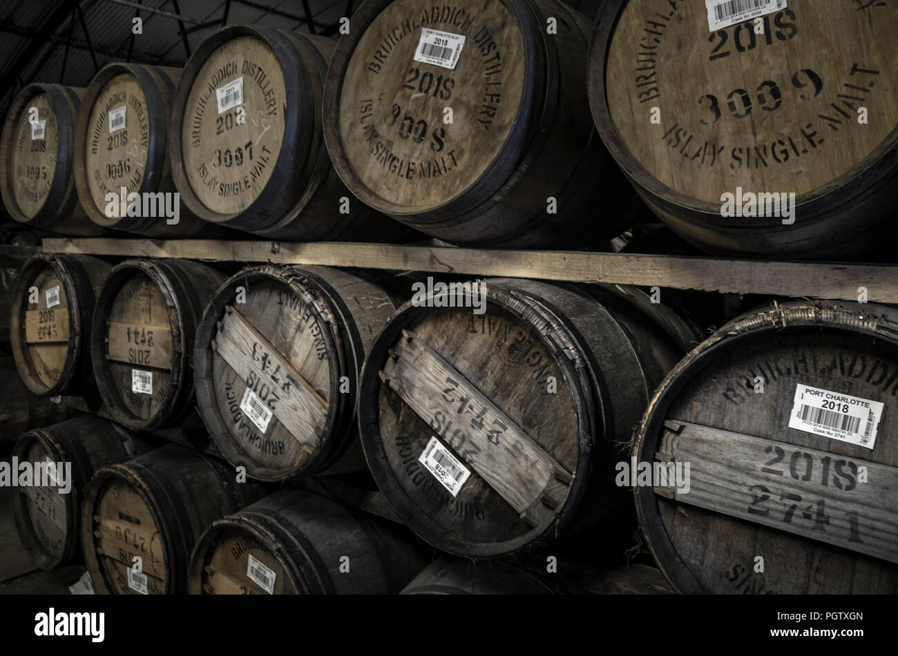 Barrels of Whisky Maturing in a Warehouse, Bruichladdich, Islay Stock ...