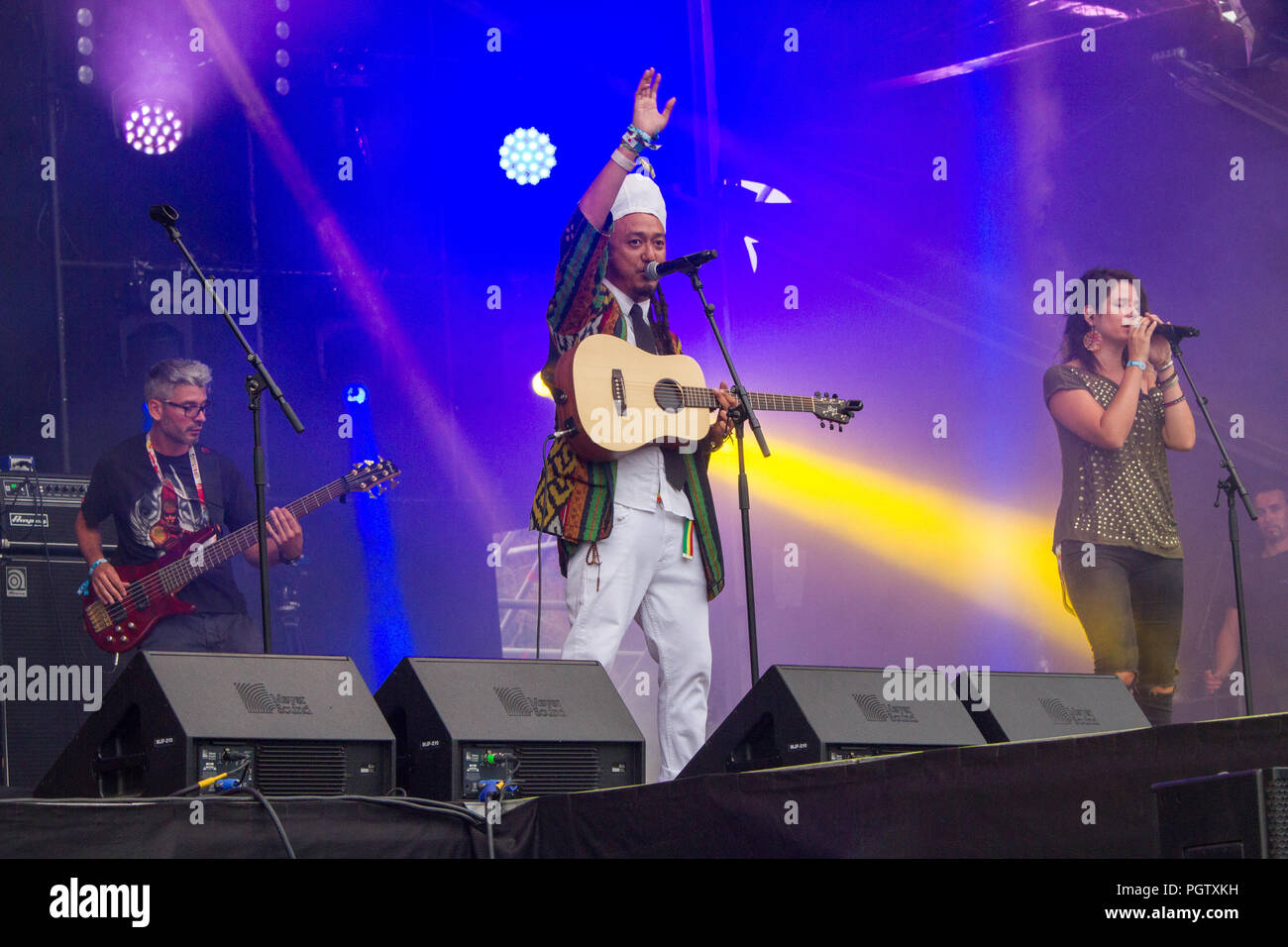 Reggae band hi-res stock photography and images - Alamy
