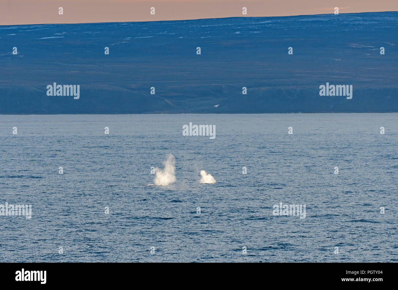 Isabella bay bowhead bay hi-res stock photography and images - Alamy