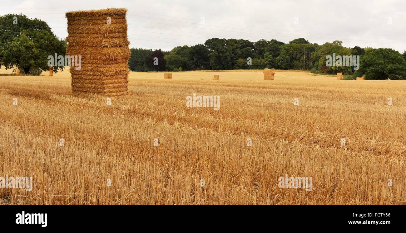 Square haystack in field rural hi-res stock photography and images - Alamy