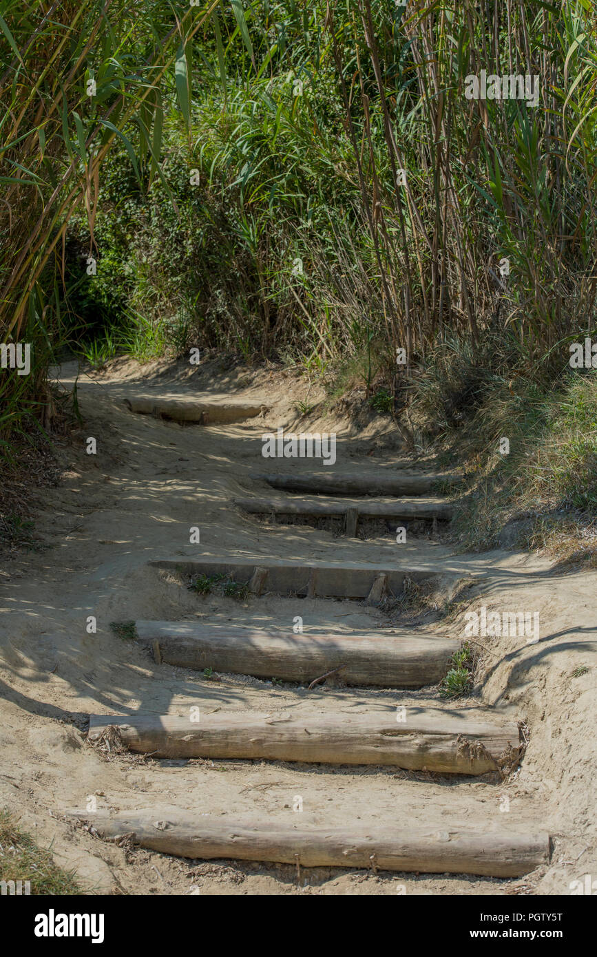 a set or flight of old wooden home made steps leading from or to a ...