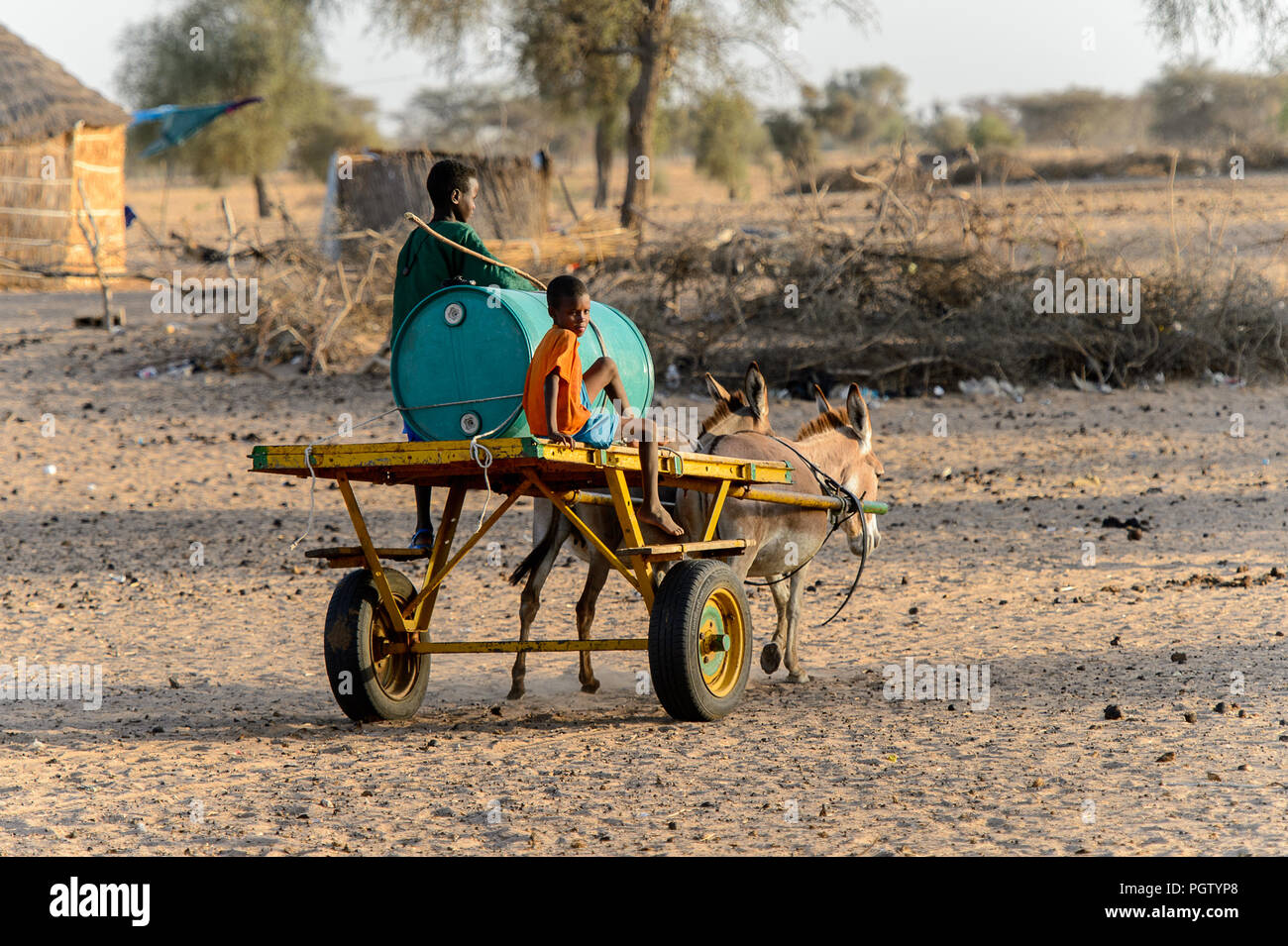 FERLO DESERT, SENEGAL - APR 25, 2017: Unidentified Fulani boys ride on ...