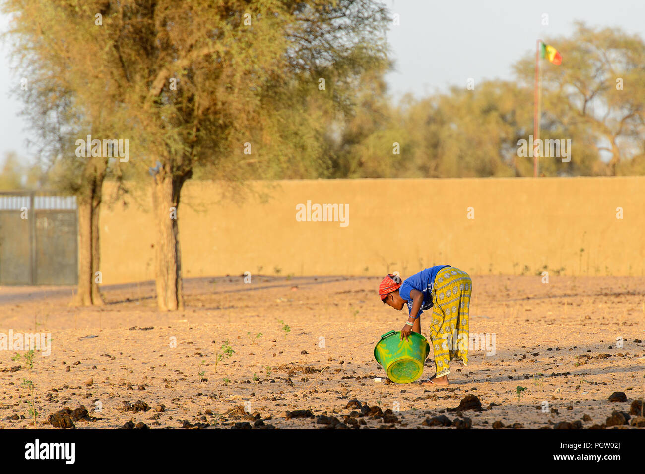 FERLO DESERT, SENEGAL - APR 25, 2017: Unidentified Fulani woman bends ...