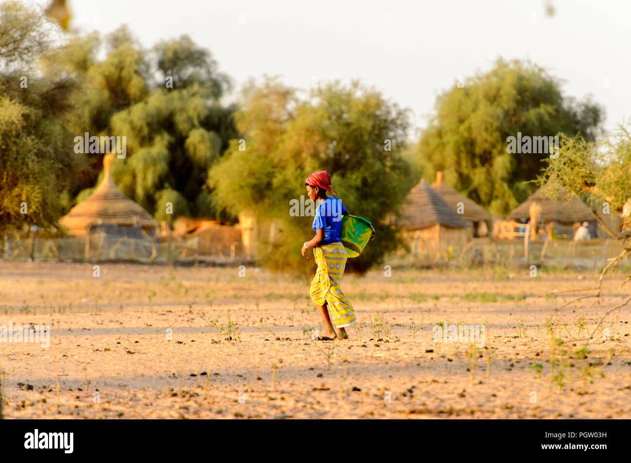 FERLO DESERT, SENEGAL - APR 25, 2017: Unidentified Fulani woman carries ...