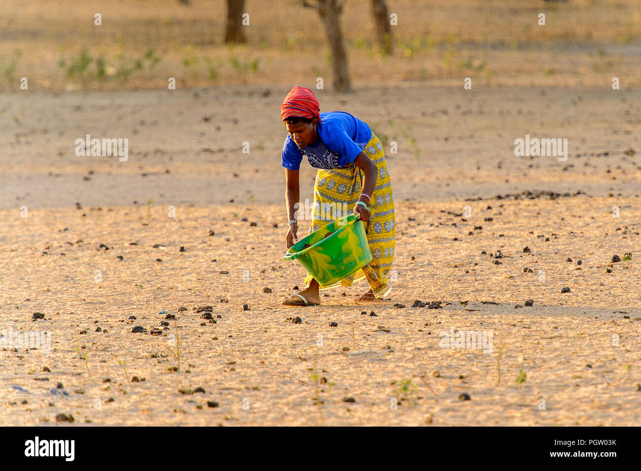 FERLO DESERT, SENEGAL - APR 25, 2017: Unidentified Fulani woman carries ...