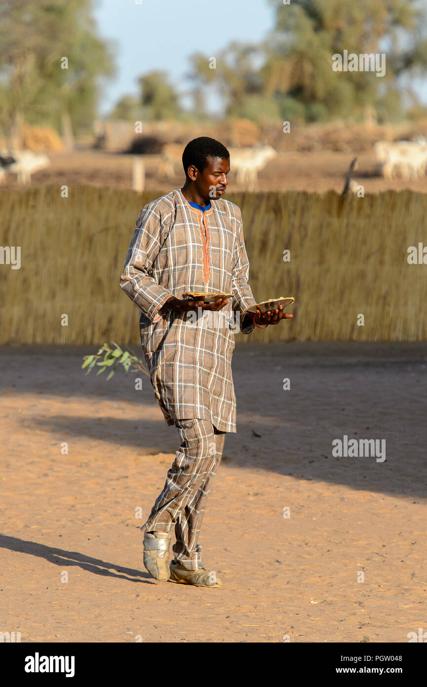FERLO DESERT, SENEGAL - APR 25, 2017: Unidentified Fulani man walks ...