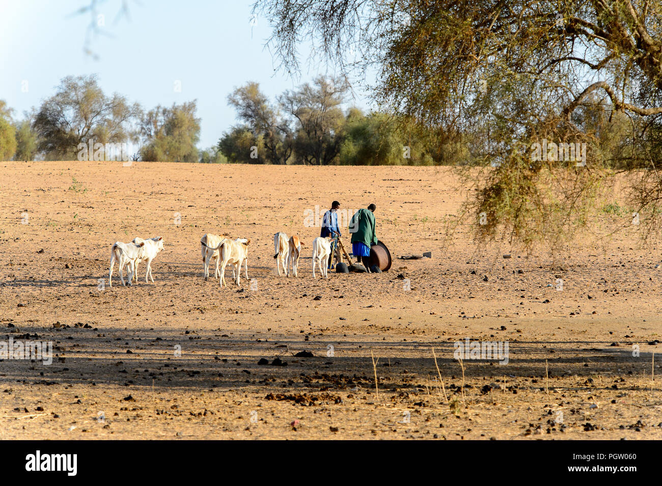 FERLO DESERT, SENEGAL - APR 25, 2017: Unidentified Fulani boys in ...