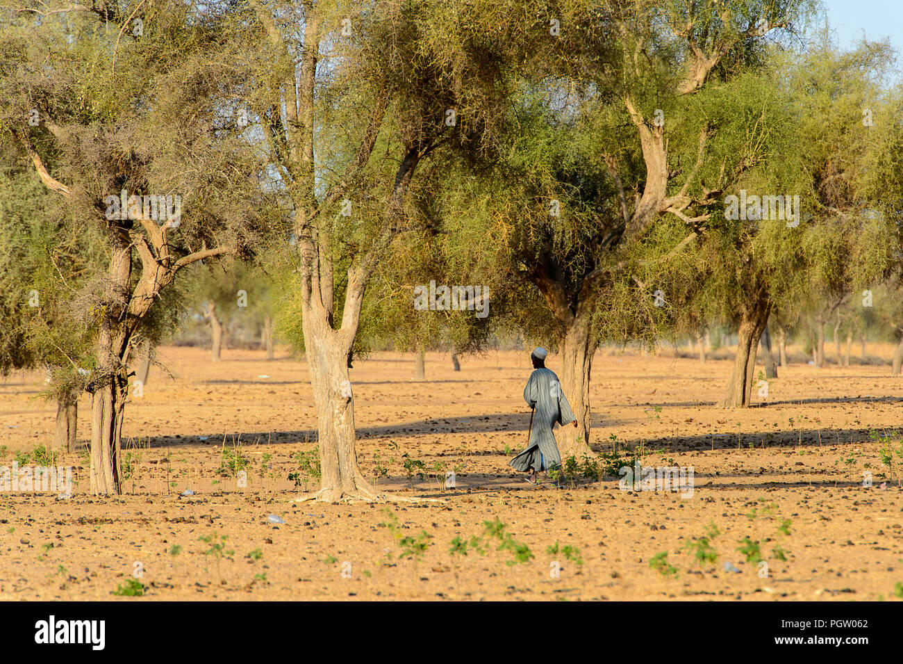 Ferlo desert hi-res stock photography and images - Alamy