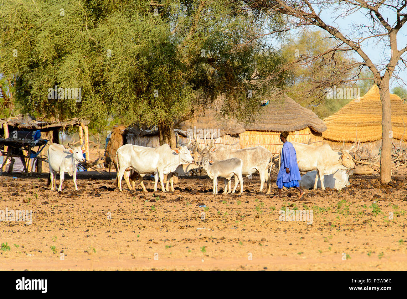 Ferlo hi-res stock photography and images - Alamy