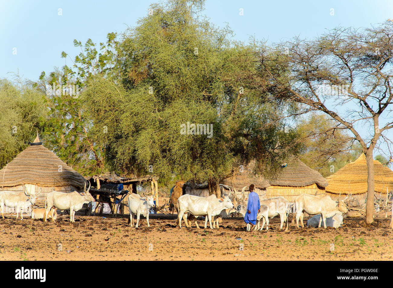 Ferlo senegal hi-res stock photography and images - Alamy