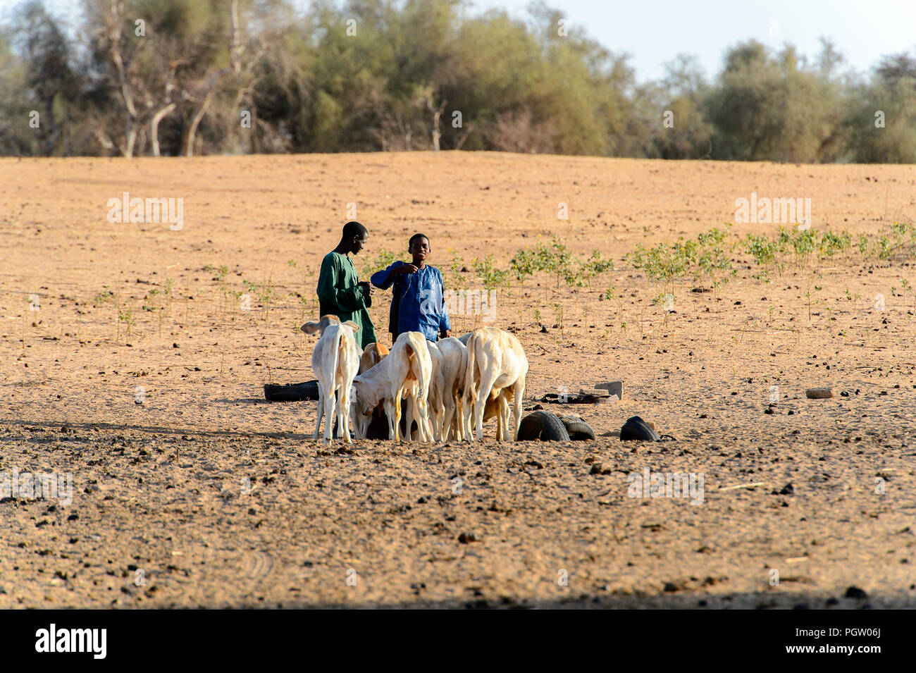 Ferlo Desert High Resolution Stock Photography and Images - Alamy