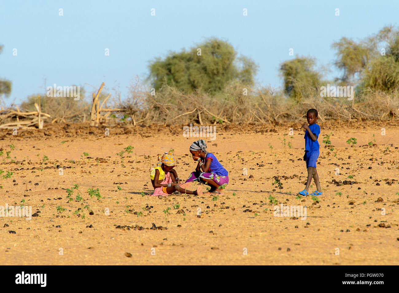 Ferlo Desert High Resolution Stock Photography and Images - Alamy