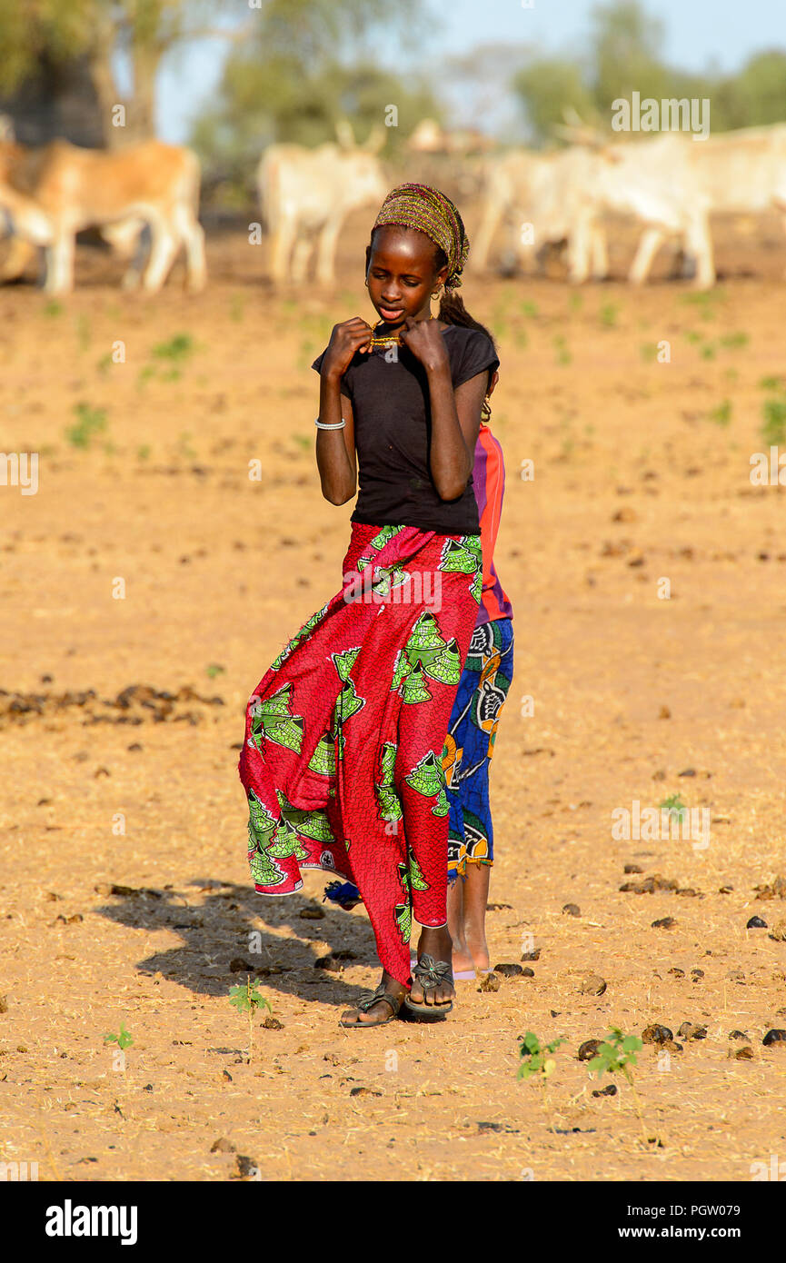 Ferlo desert hi-res stock photography and images - Alamy