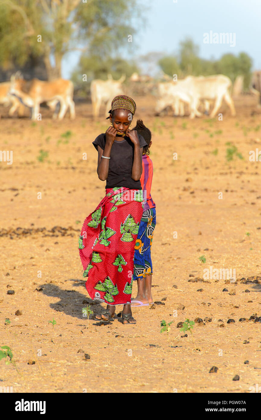 Ferlo desert hi-res stock photography and images - Alamy